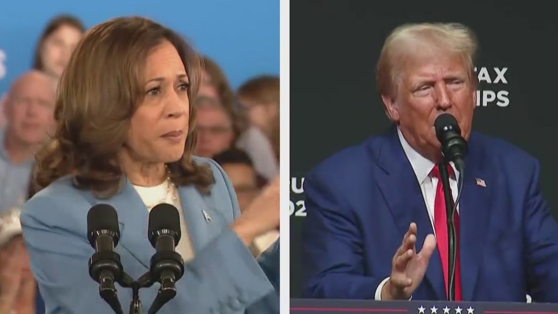 Battleground state reporters talk presidential polling, campaigns | The Hill – NewsNation