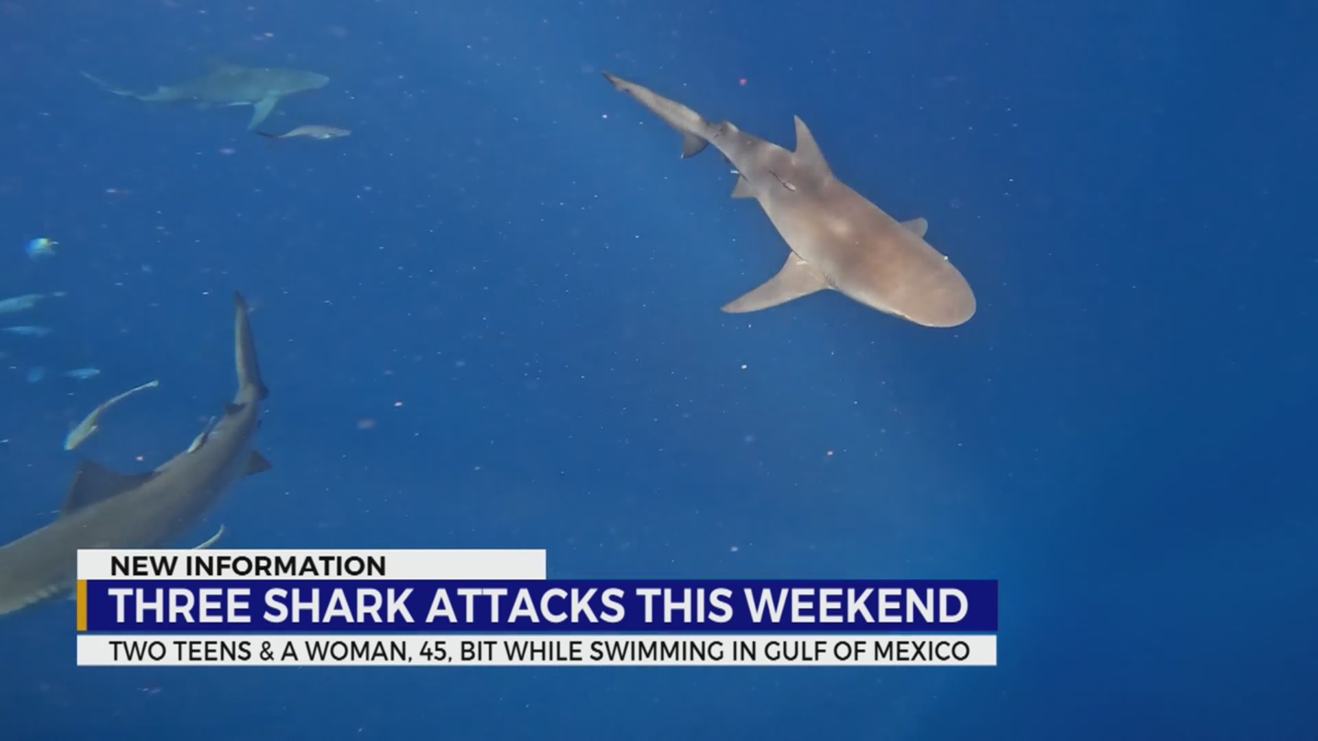 Three shark attacks in one weekend on Florida’s Emerald Coast – WKRN News 2