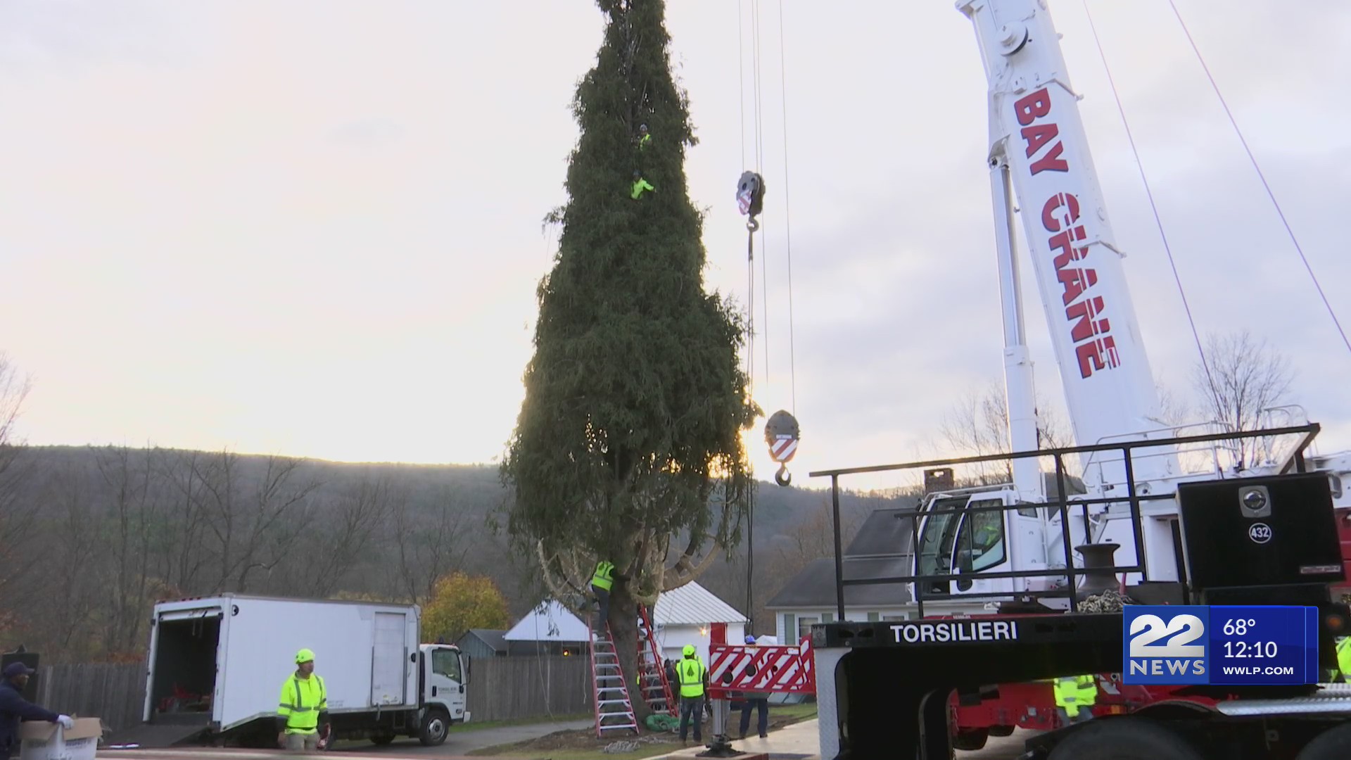 New York’s Rockefeller Center Christmas tree cut down in Massachusetts ...