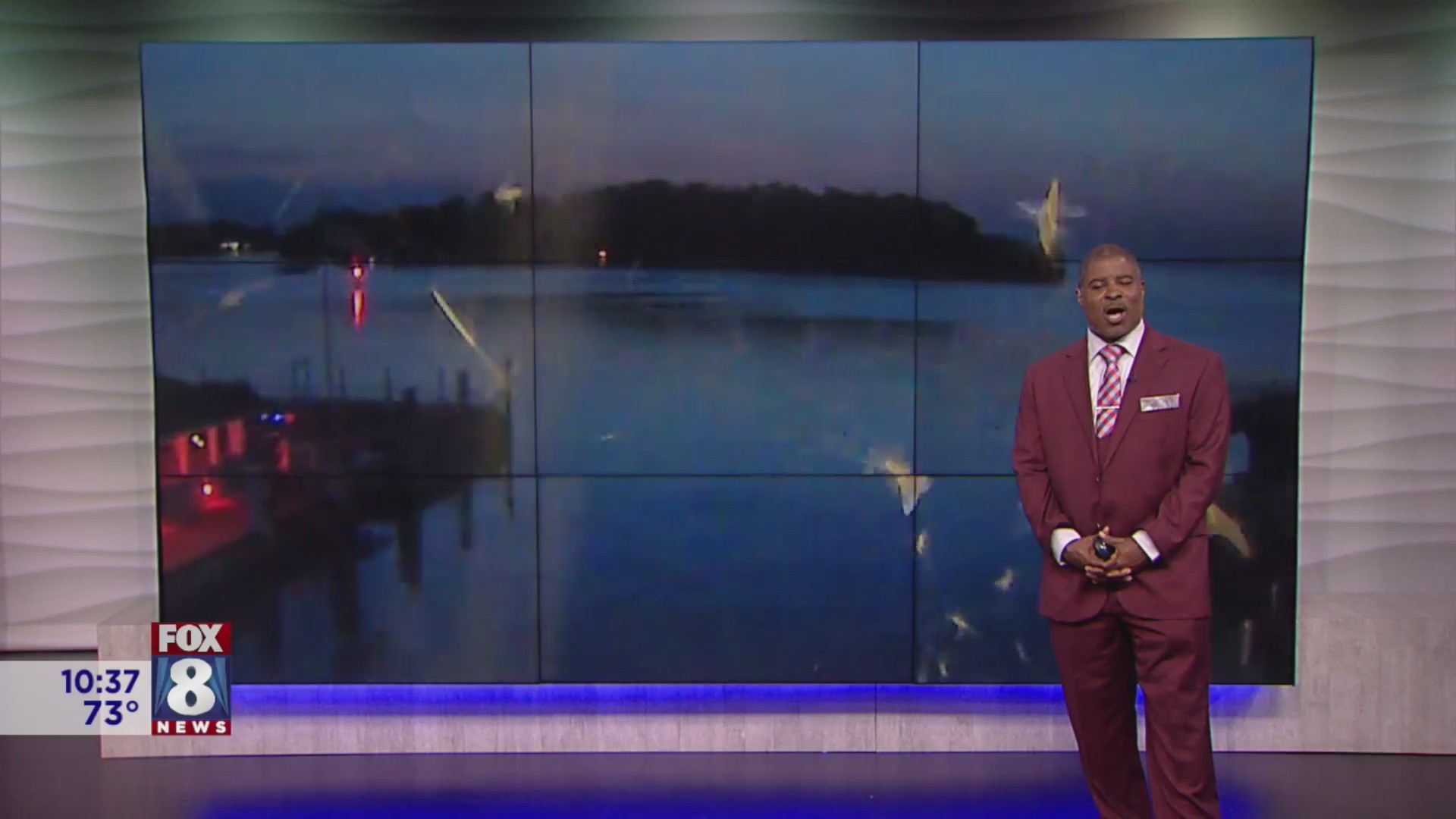 Watch: Mayflies arriving from Lake Erie – Fox 8 Cleveland WJW