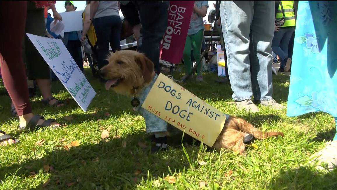‘Defend democracy’: Fresno joins nationwide ‘Hands Off’ protest – CBS47 ...