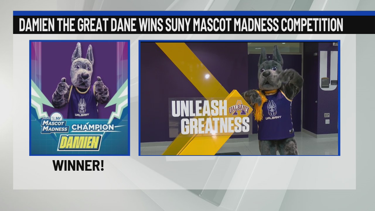Damien the Great Dane wins SUNY Mascot Madness 2025 – NEWS10 ABC