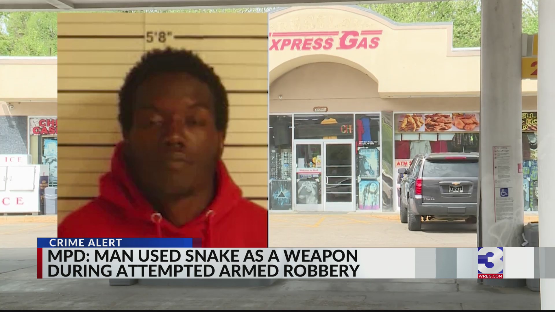 Man tried to rob store with 5-foot snake, police say – WREG.com