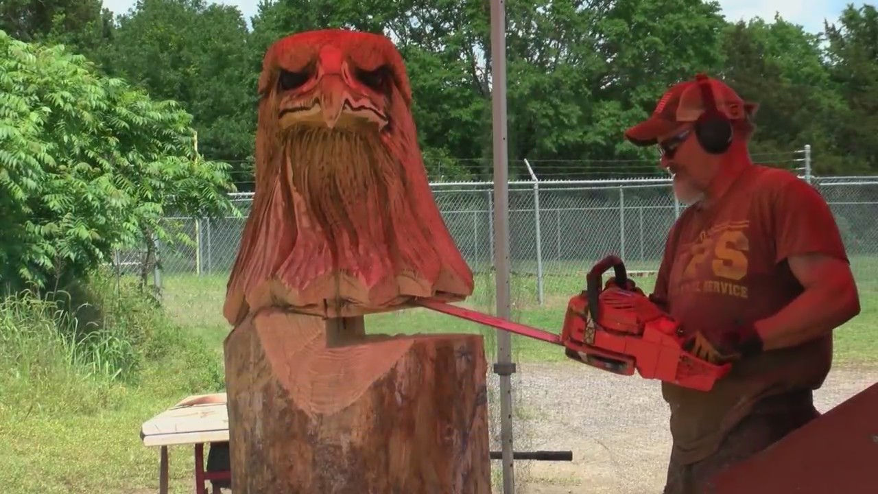 Natural artists breaking out the chainsaws at wood carving competition ...