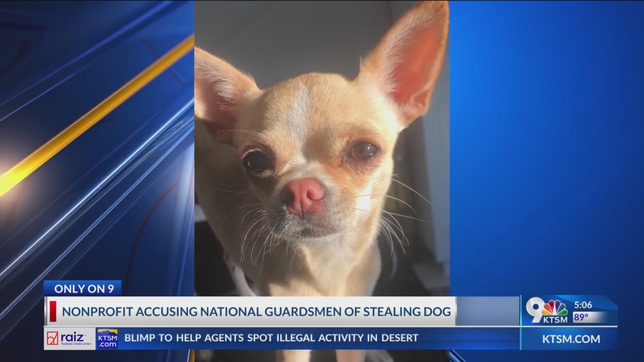 Nonprofit accusing national guardsmen of stealing dog – KTSM 9 News