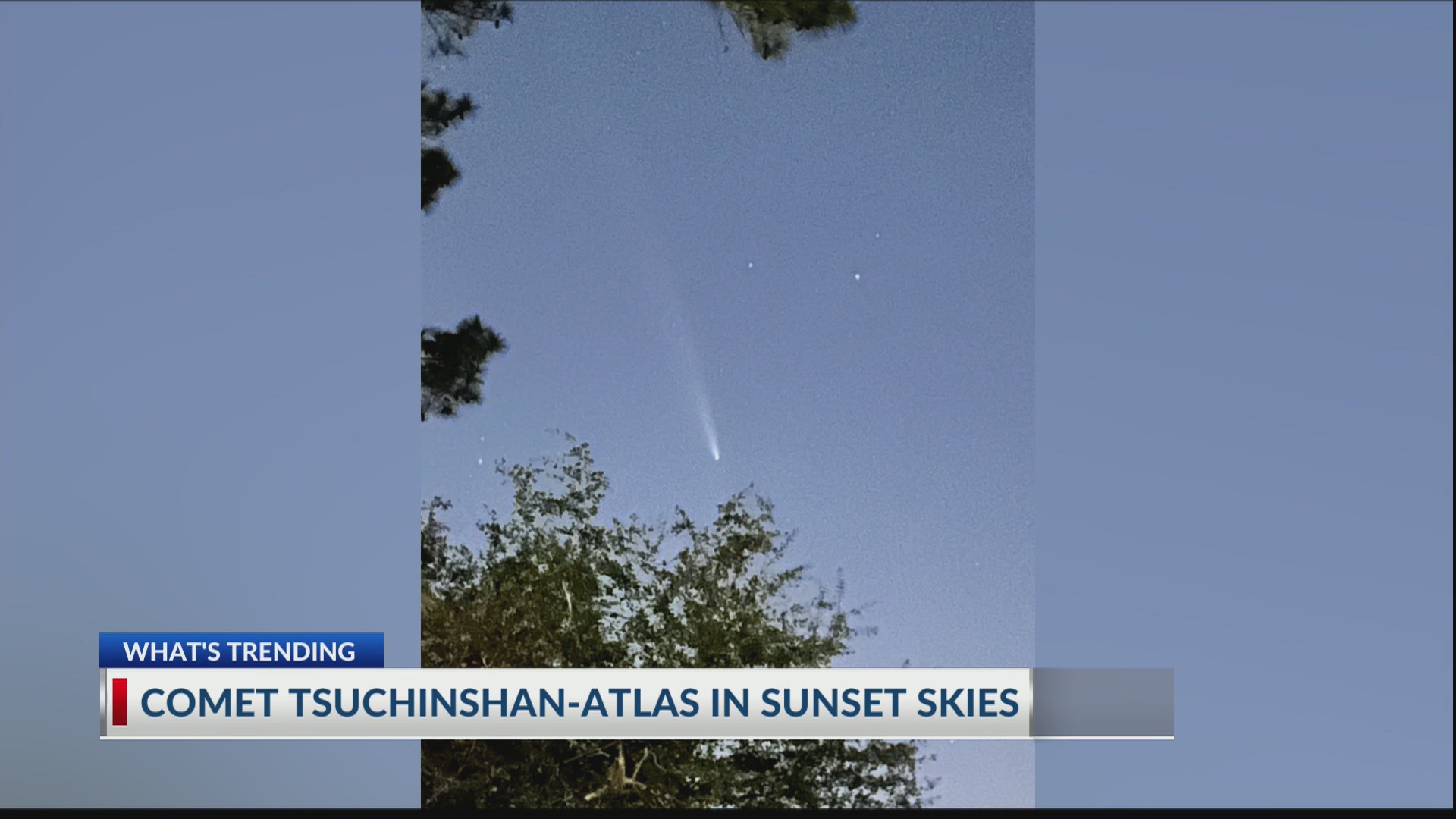 What’s Trending: Ballot Measures, Jimmy Carter votes, comet photos ...