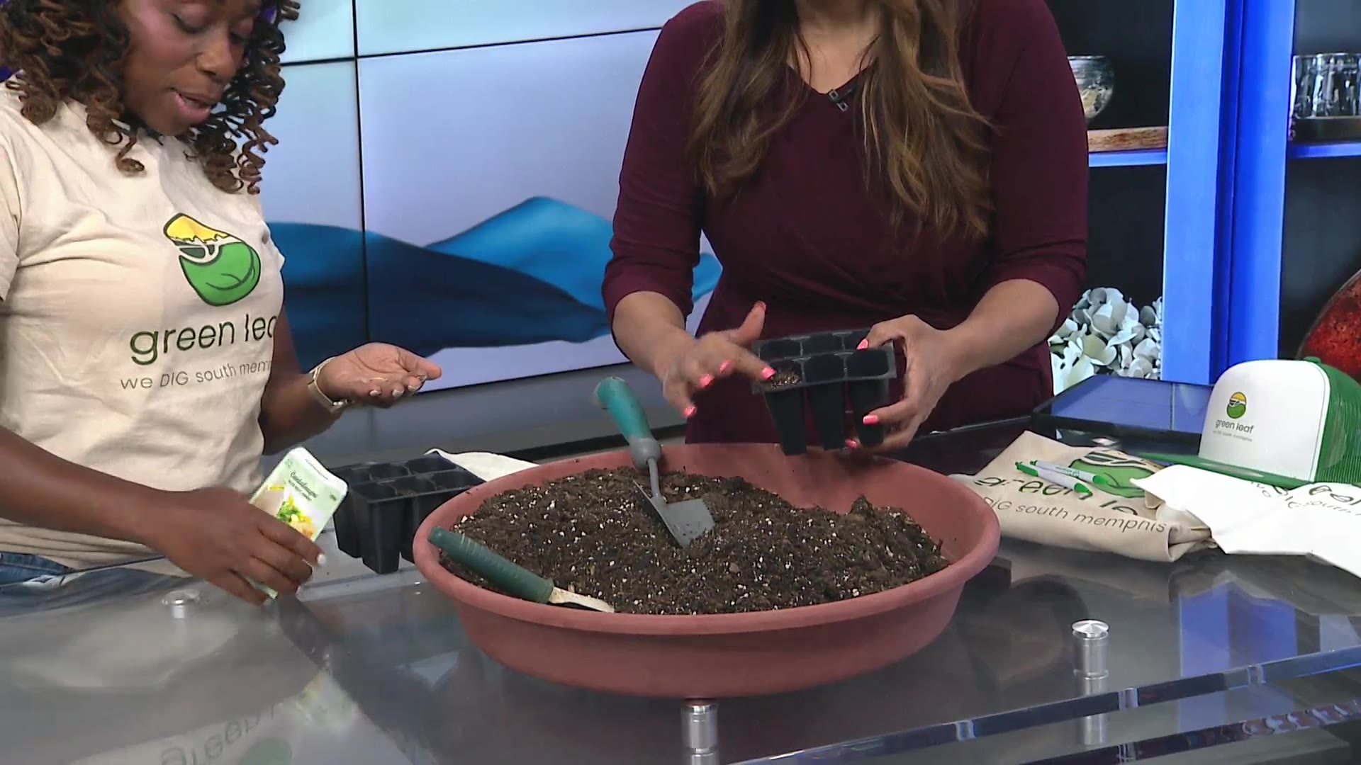 Start a home garden with Green Leaf learning farm’s expert tips and ...