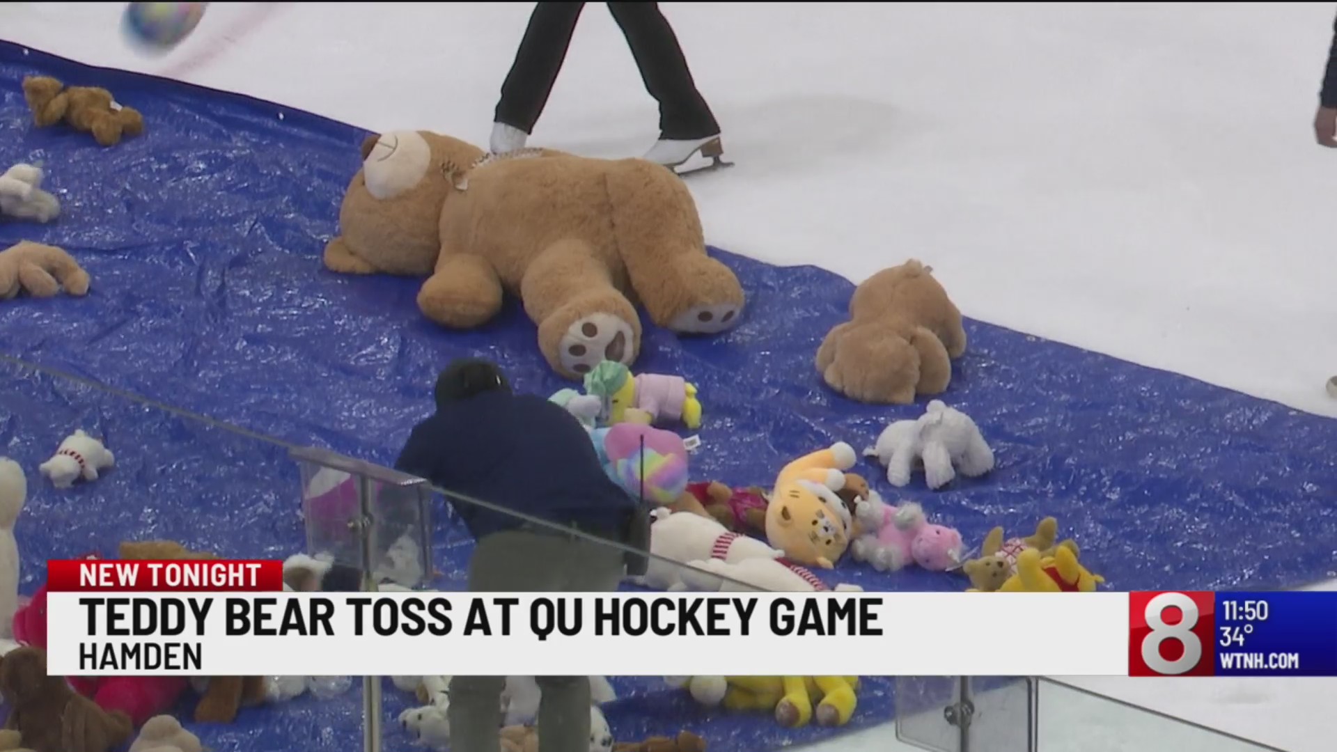 Quinnipiac has teddy bear toss fundraiser for Connecticut Children’s ...