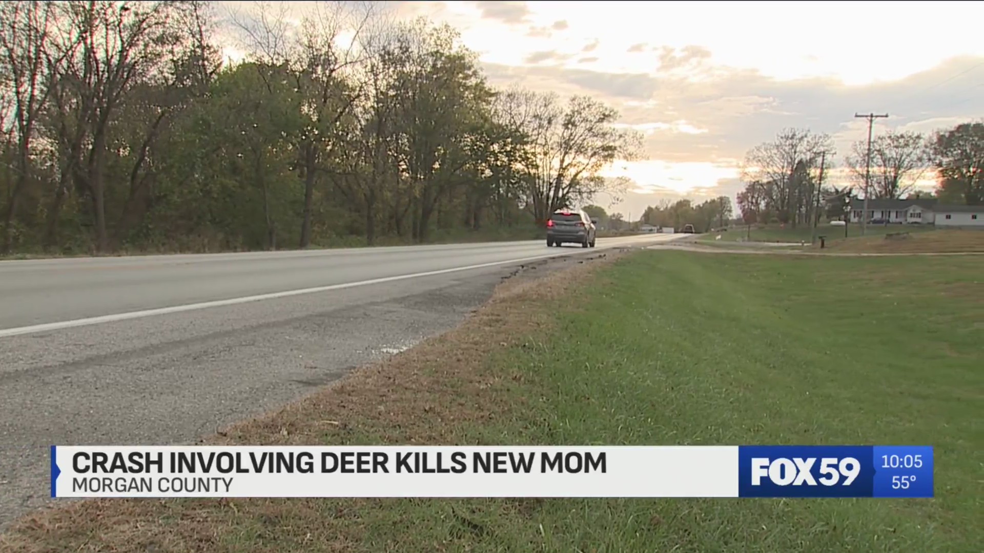 Woman dies after crash sends deer flying into windshield in Morgan ...