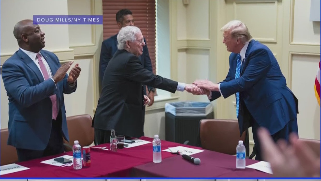 Cheney criticizes McConnell for his meeting with Trump | NewsNation Now ...