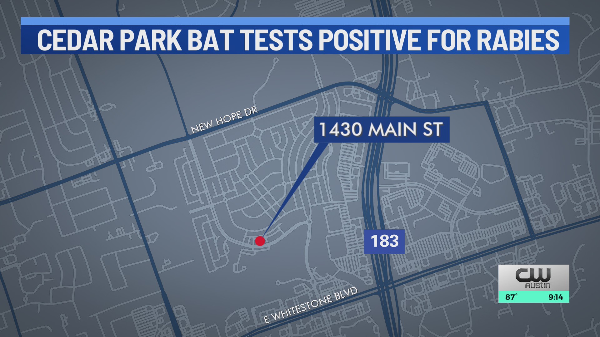 Cedar Park bat tests positive for rabies, police urge caution – KXAN Austin