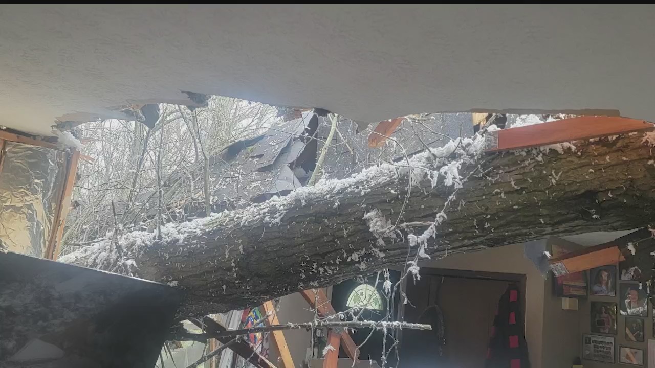 Father, daughter almost hit by tree in their house – WKBN.com