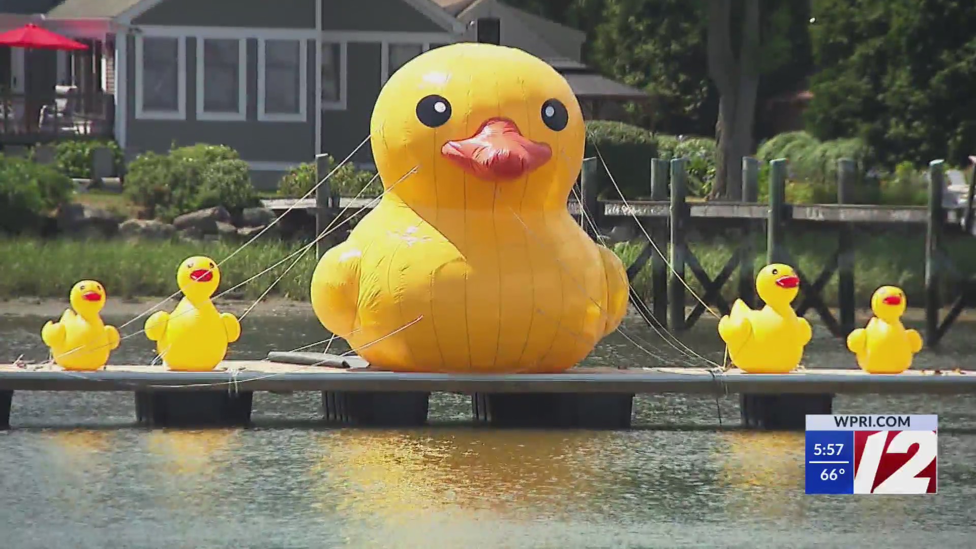 5 inflatable ducks sitting at Wickford Shipyard – WPRI.com