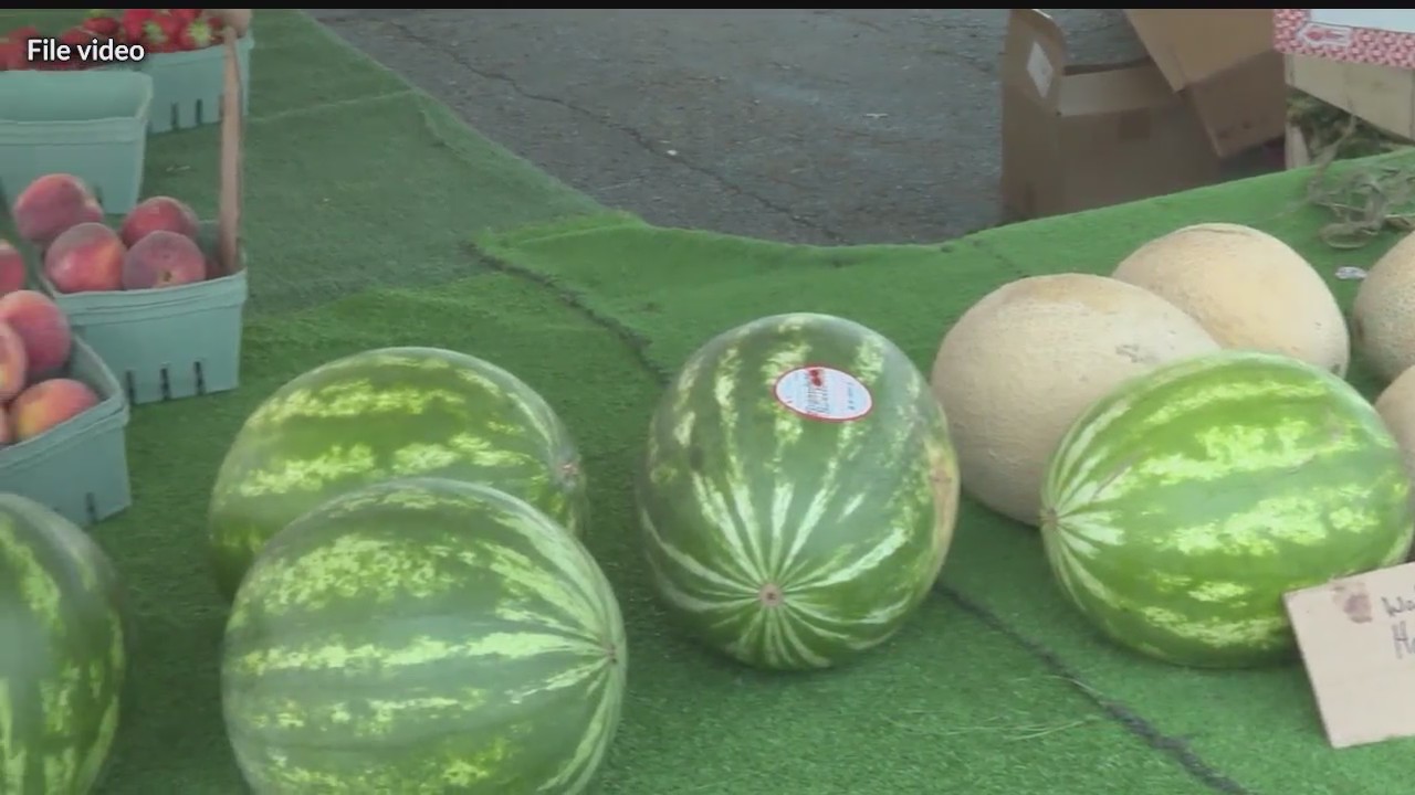 Is your food safe? How produce inspections are handled – WKBN.com