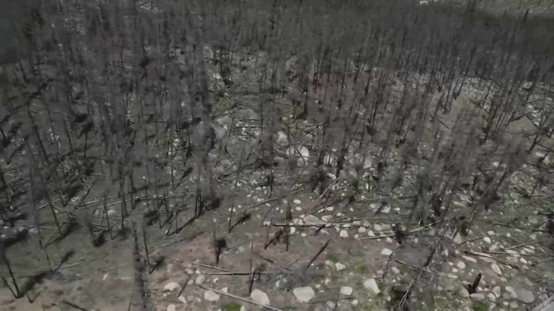 Federal lay offs stir fear for natural disasters in Colorado – FOX31 Denver