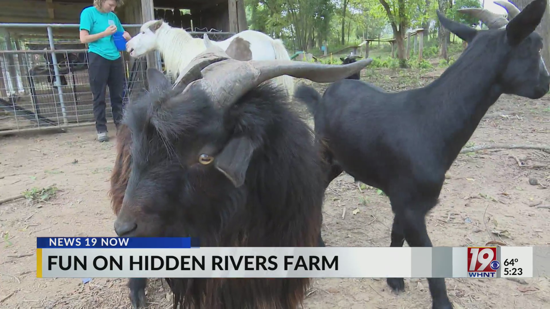 Fun on Hidden Rivers Farm | Oct. 17, 2024 | News 19 at 5:00 – WHNT.com