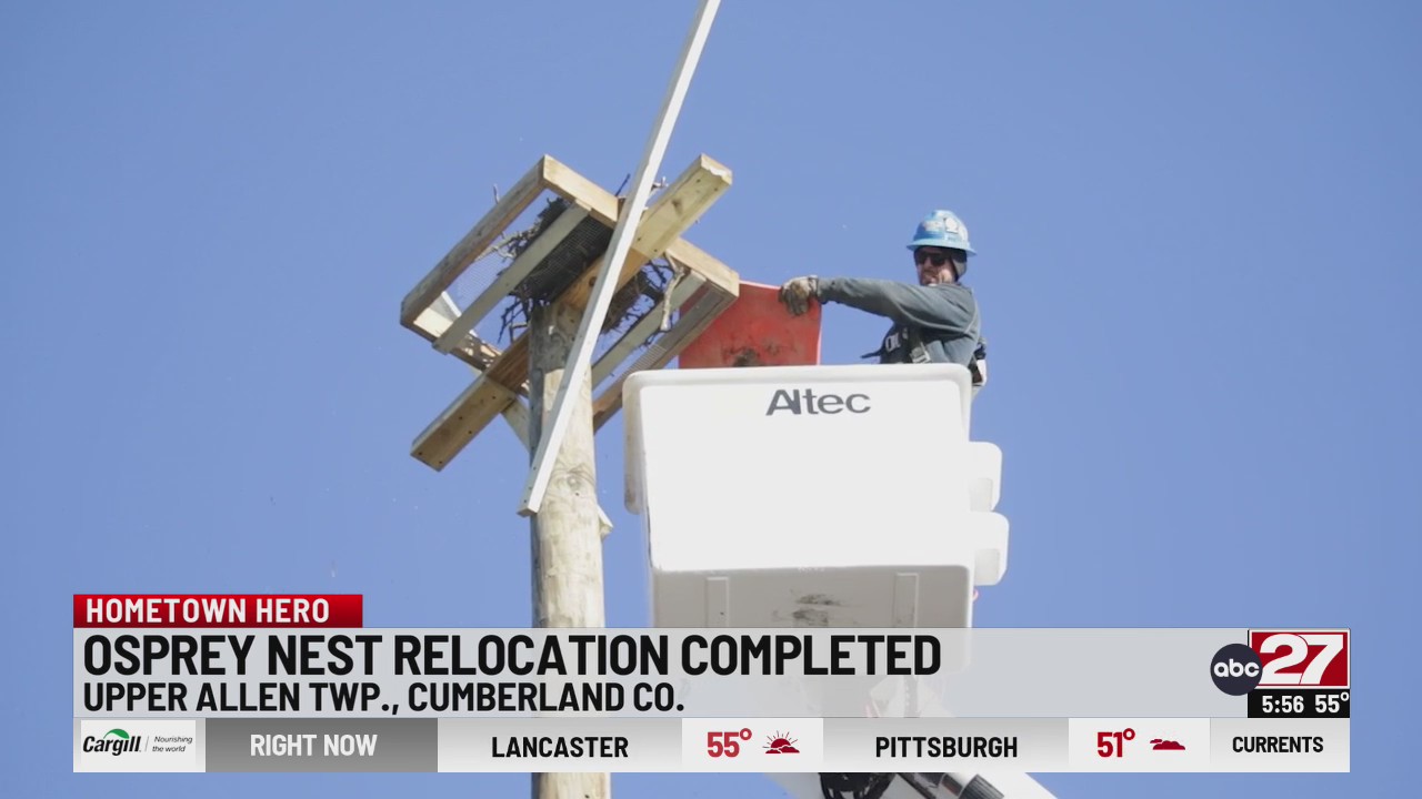 PPL finishes installing new pole for osprey nest in Cumberland County ...