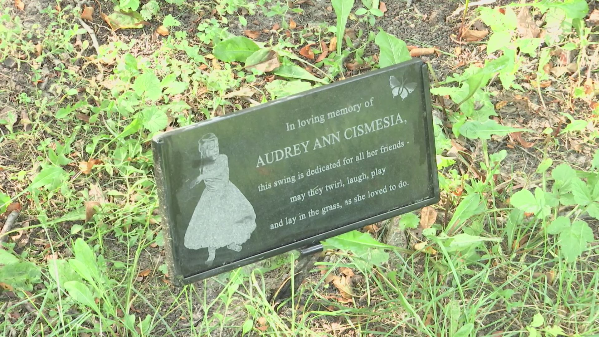 Sensory swing donated to memorialize special needs girl in Klehm ...