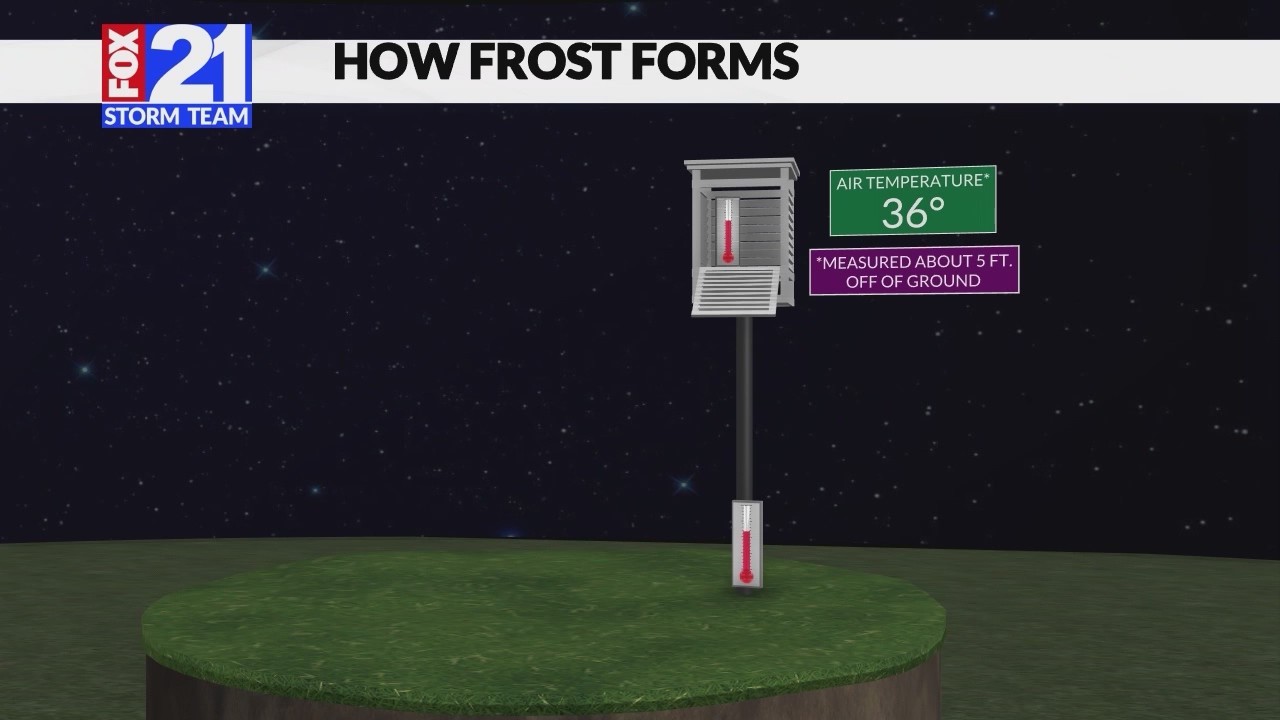 How Frost Forms – FOX21 News Colorado