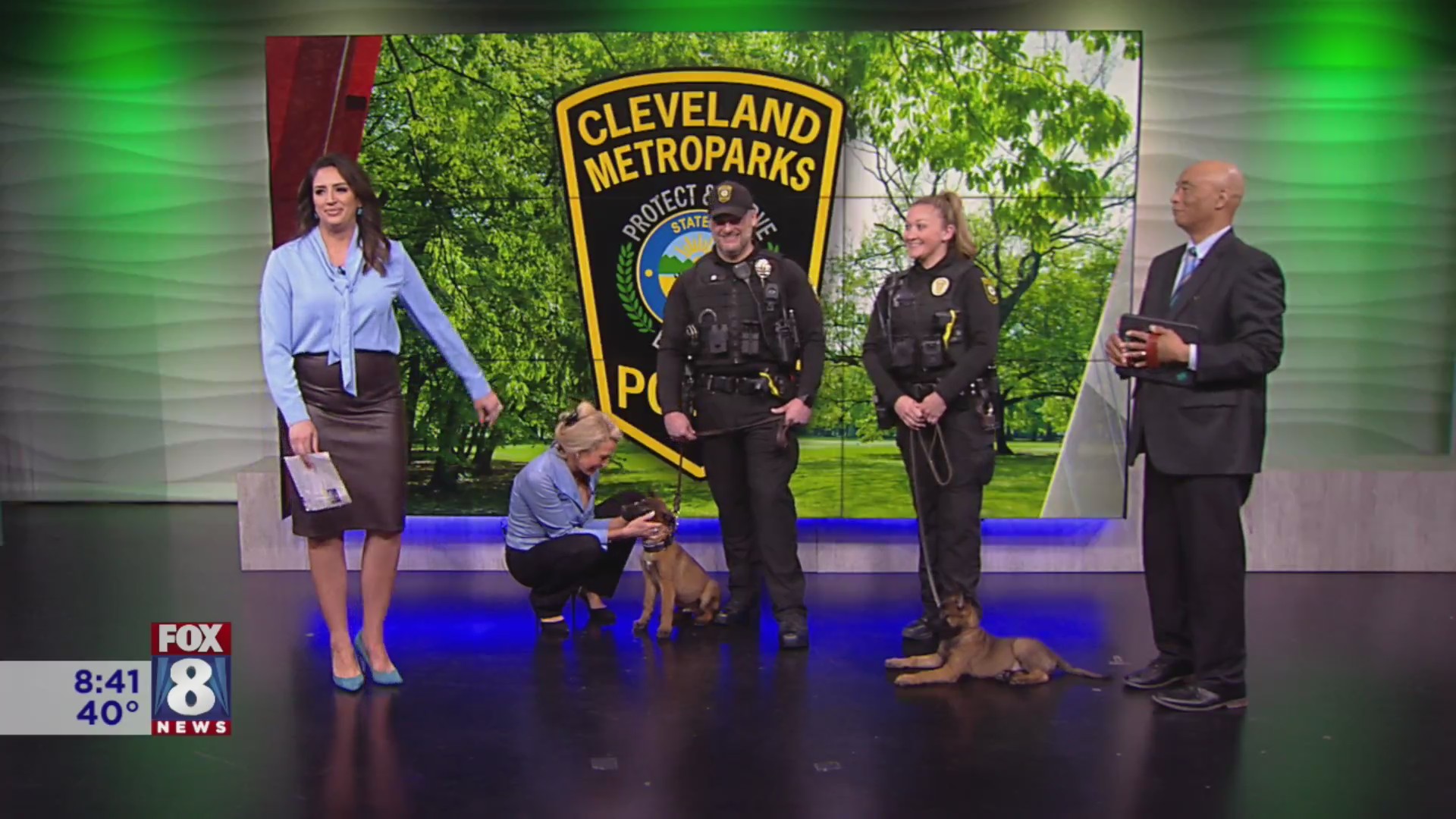 Help name Cleveland Metroparks Police Dept. K-9 Puppies – Fox 8 ...
