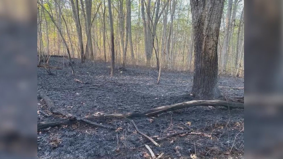 Rural Hall Fire Department deals with multiple brush fires – FOX8 WGHP
