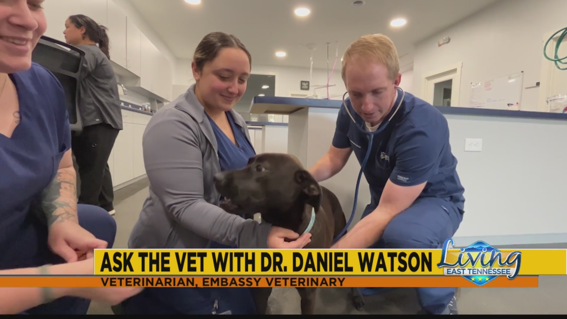 Ask the Vet with Dr. Daniel Watson – WATE 6 On Your Side
