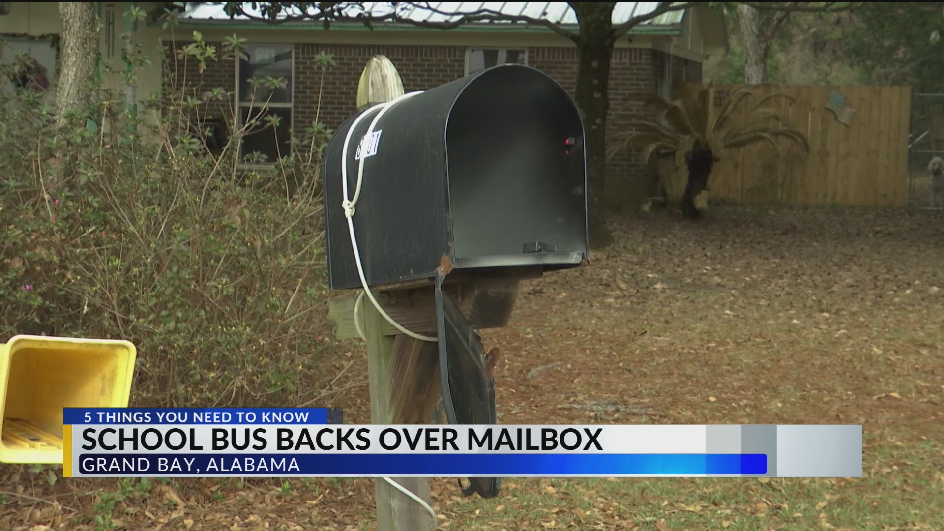 Grand Bay woman says MCPSS school bus backed into her mailbox – WKRG News 5