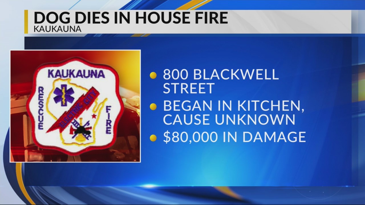 Dog dies in Kaukauna house fire, damage estimated at $80,000 – WFRV ...