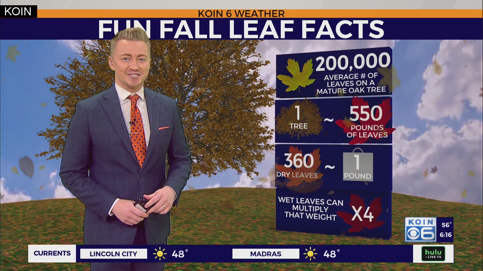 Fall colors seen across Oregon – KOIN.com