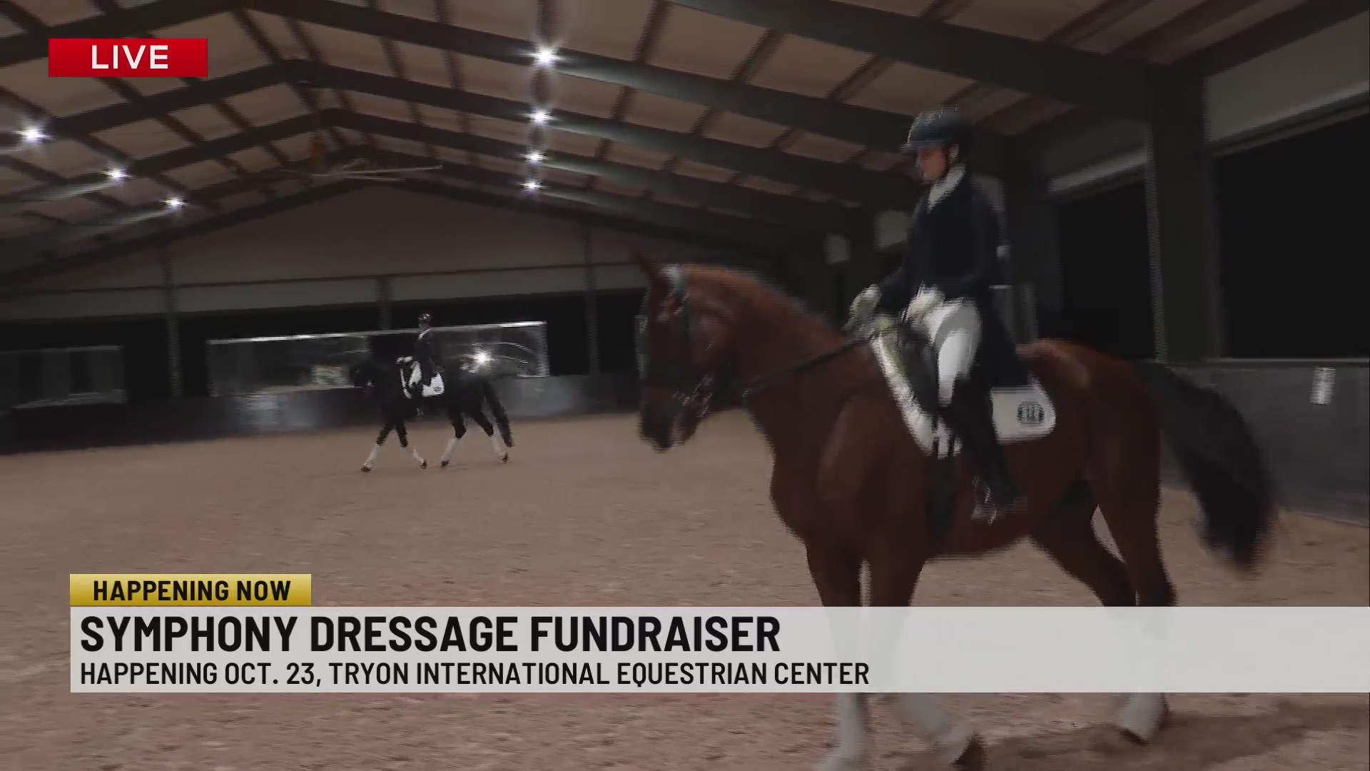 Dressage fundraiser – WSPA 7NEWS