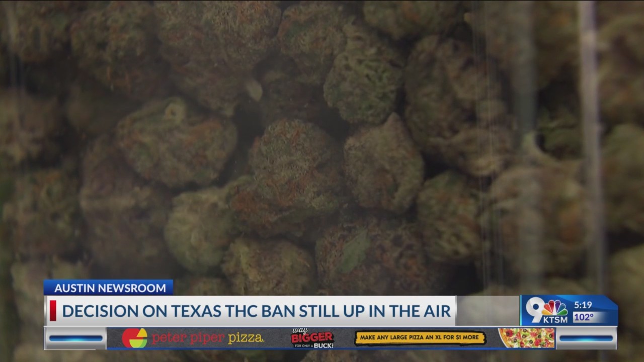 Abbott has 4 days to make decision on ban of THC in Texas – KTSM 9 News