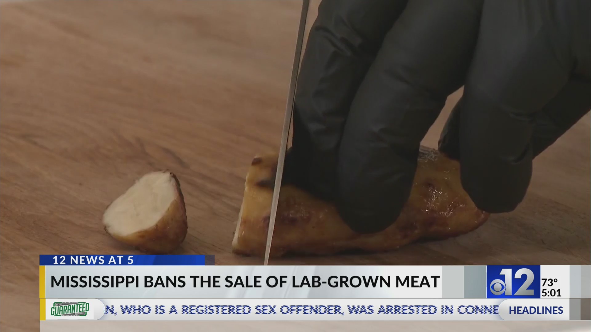 Mississippi joins other states in banning lab-grown meat products ...