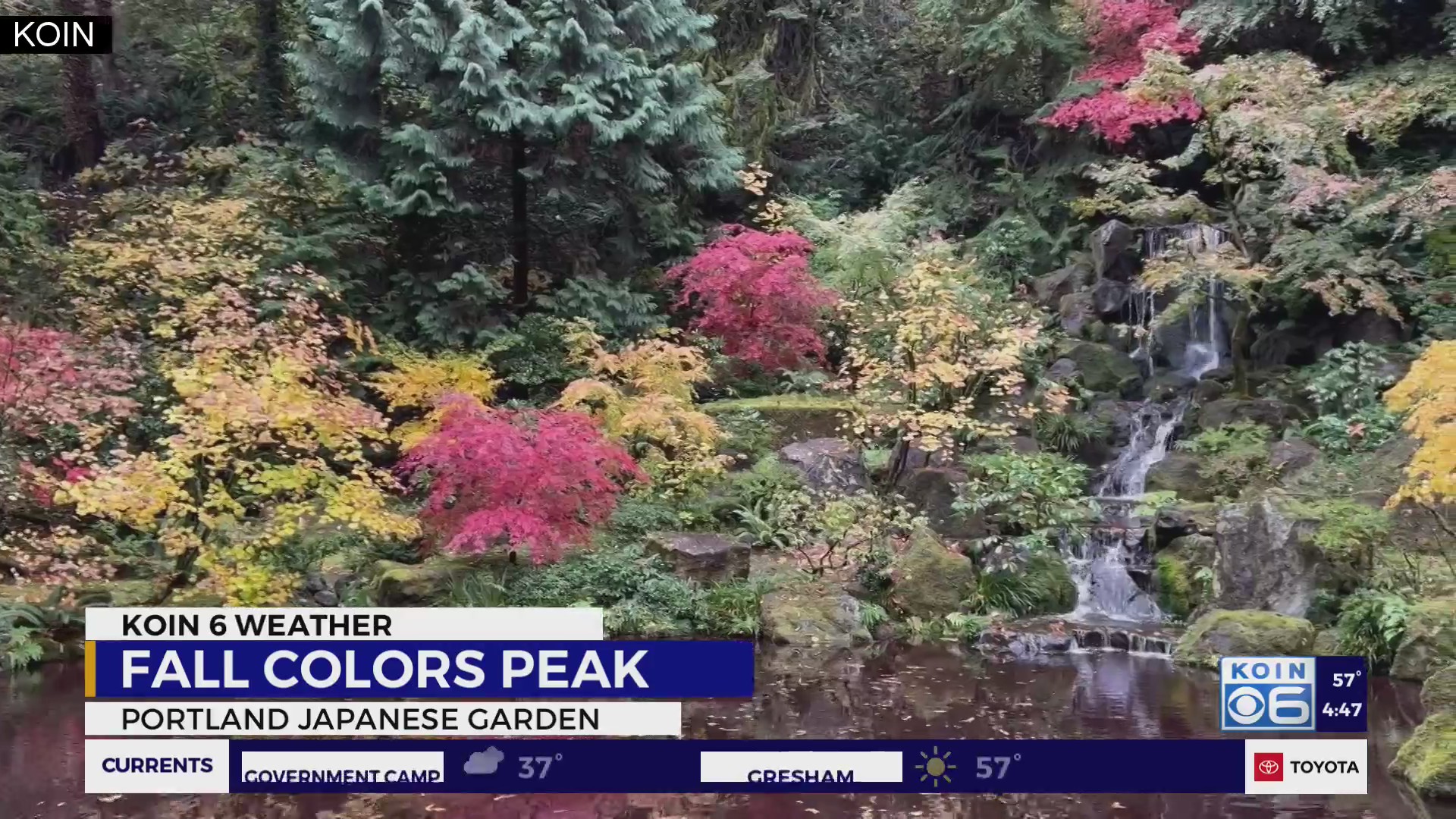 Portland Japanese Garden sees peak fall color – KOIN.com