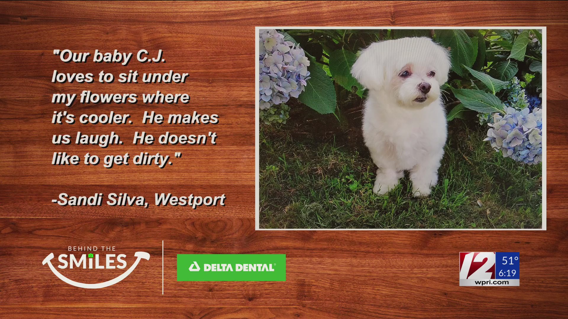 Behind the Smiles Photo for Sept 9, 2024 from Sandi Silva of Westport ...