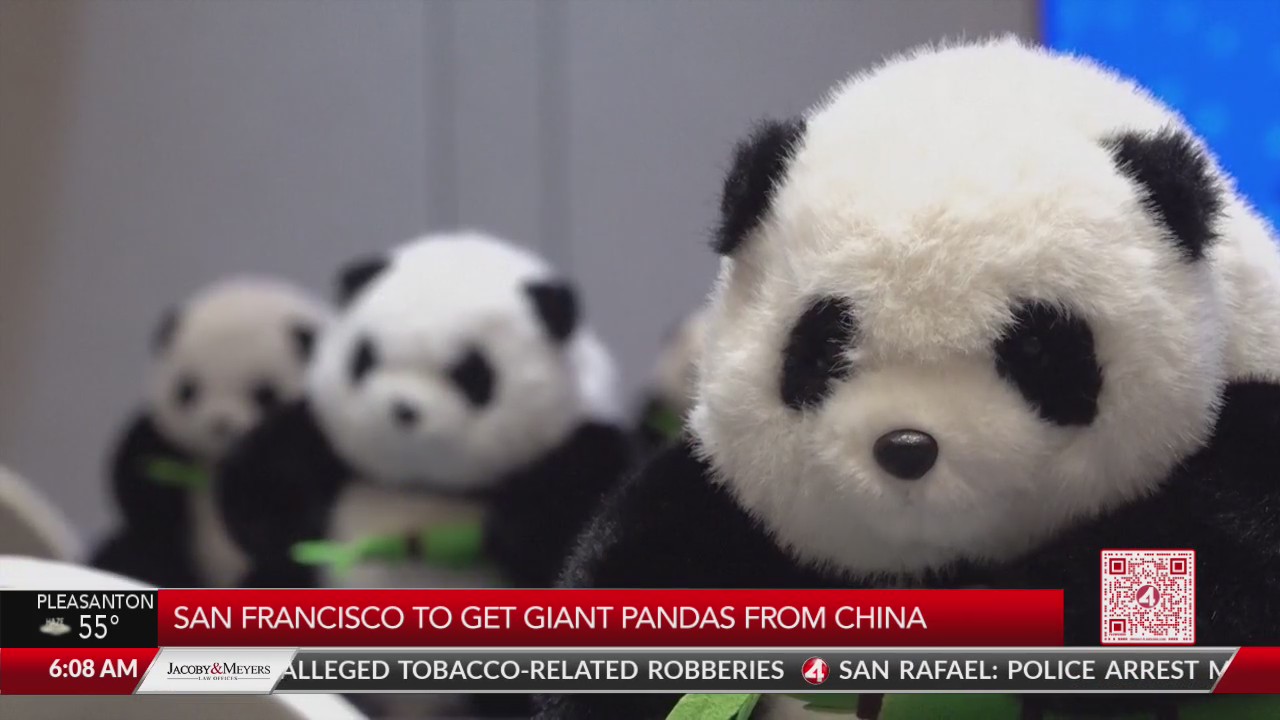 San Francisco to get giant pandas from China – KRON4