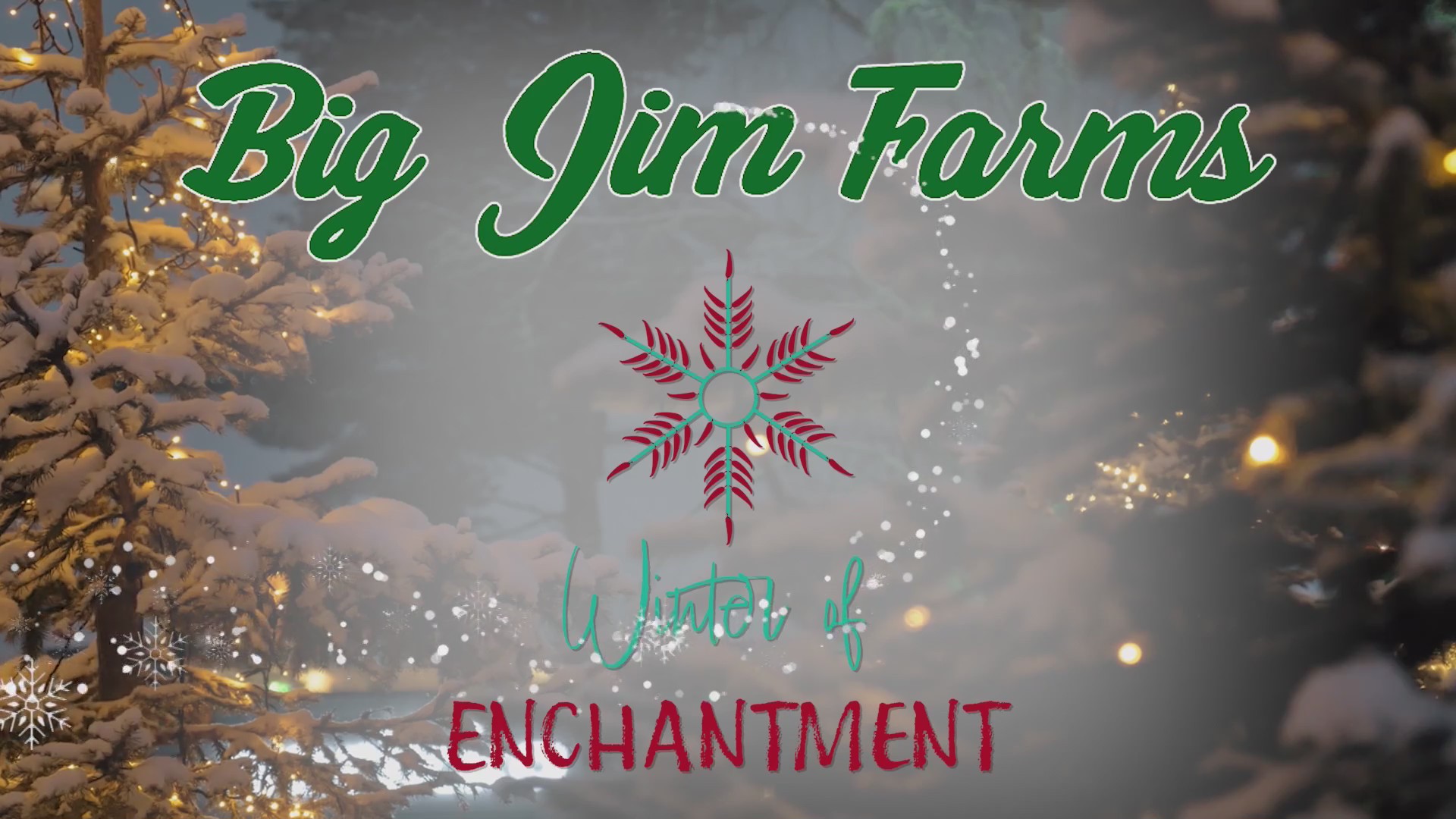 Big Jim Farms celebrating the holidays with Winter of Enchantment ...