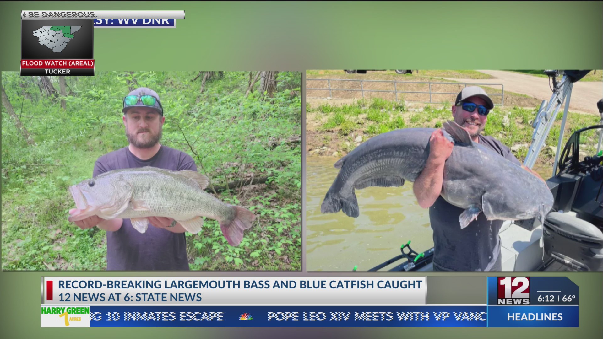 Record-breaking largemouth bass and blue catfish caught in West ...