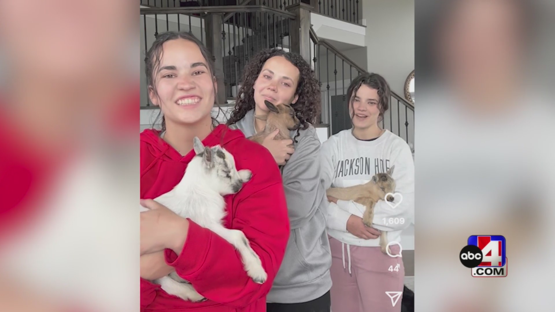 From Barnyard to Billboard: Sisters go viral for singing their goats to ...