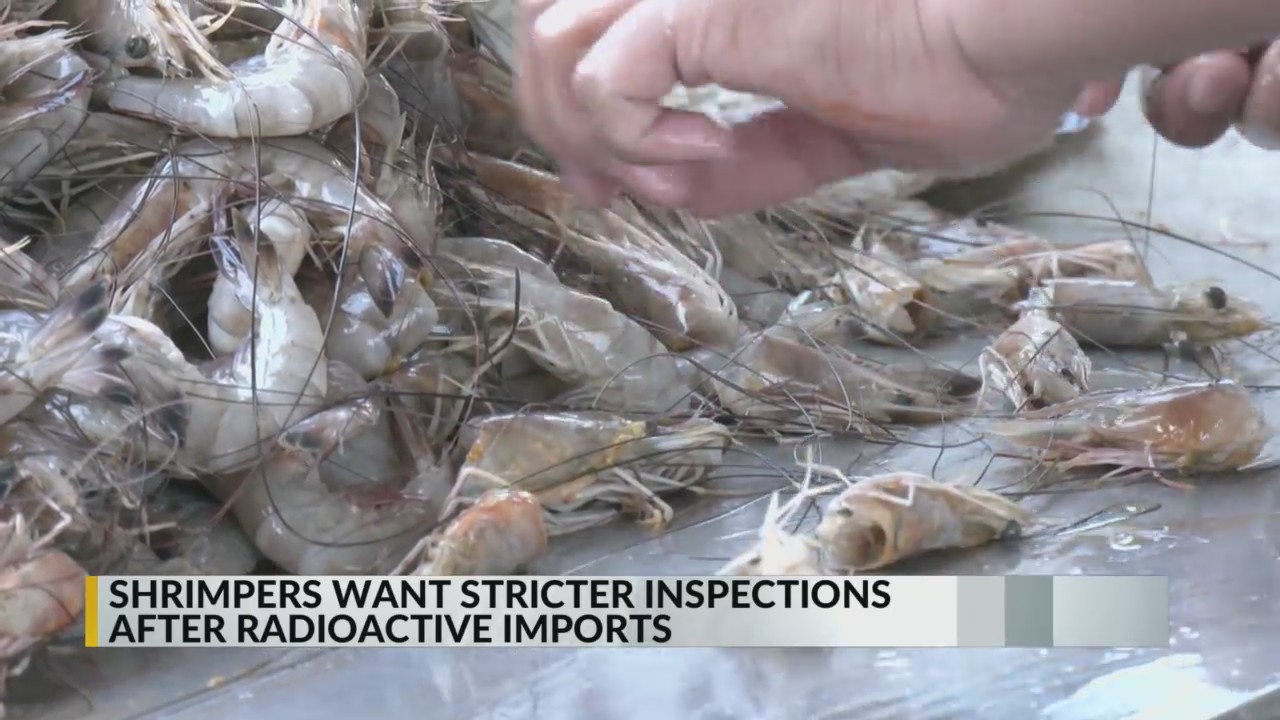 Radioactive shrimp recall prompts calls for stricter checks – KLFY.com