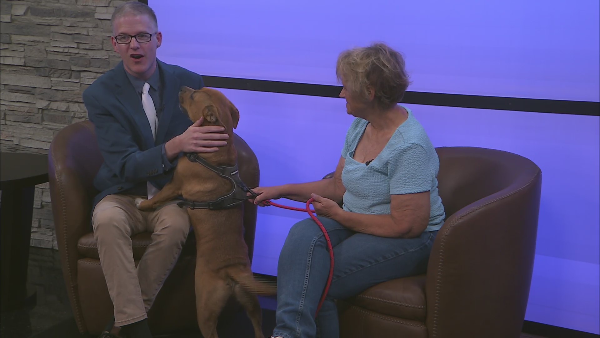Pet of the Week: Maverick – WTRF