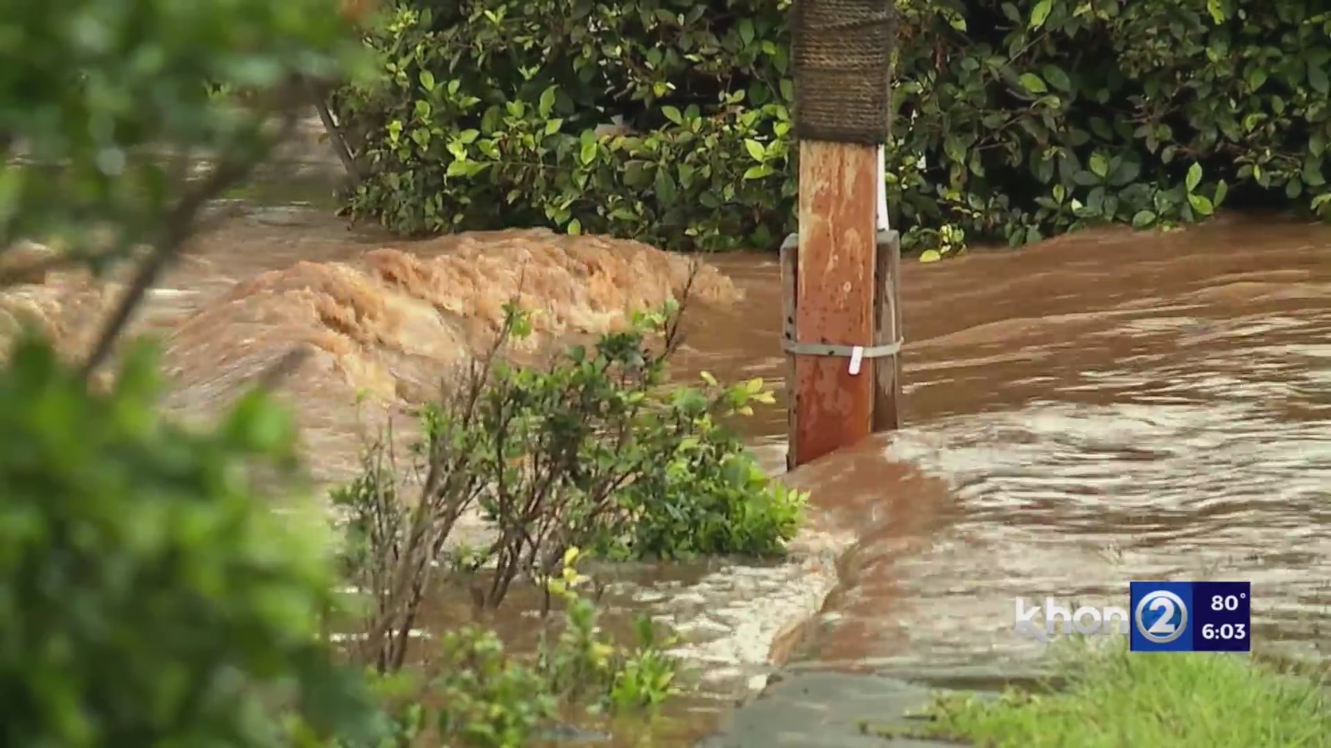 Do you need flood insurance? FEMA releases updated flood risk maps – KHON2