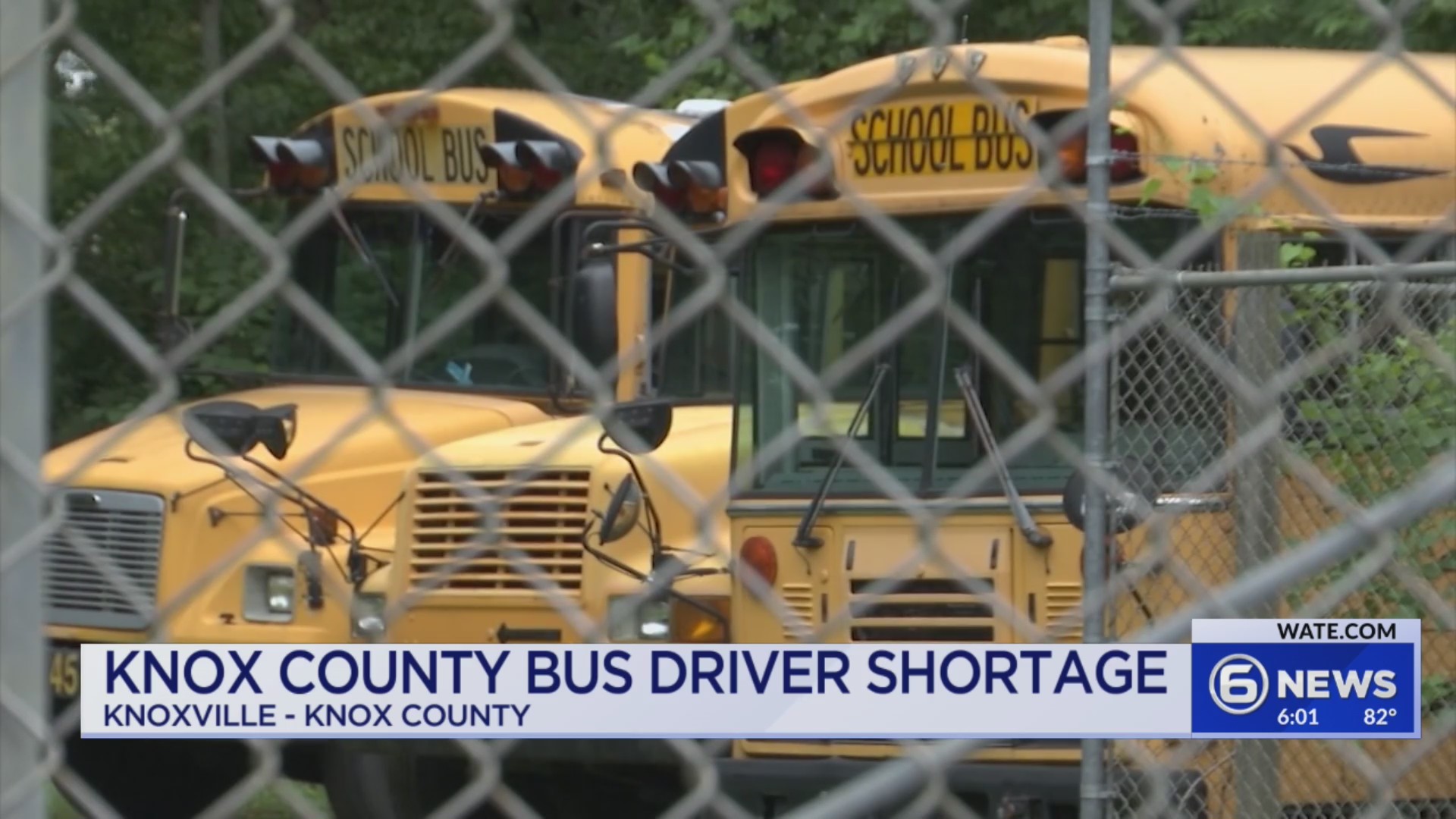 Knox County Schools hiring bus driver amid shortage – WATE 6 On Your Side
