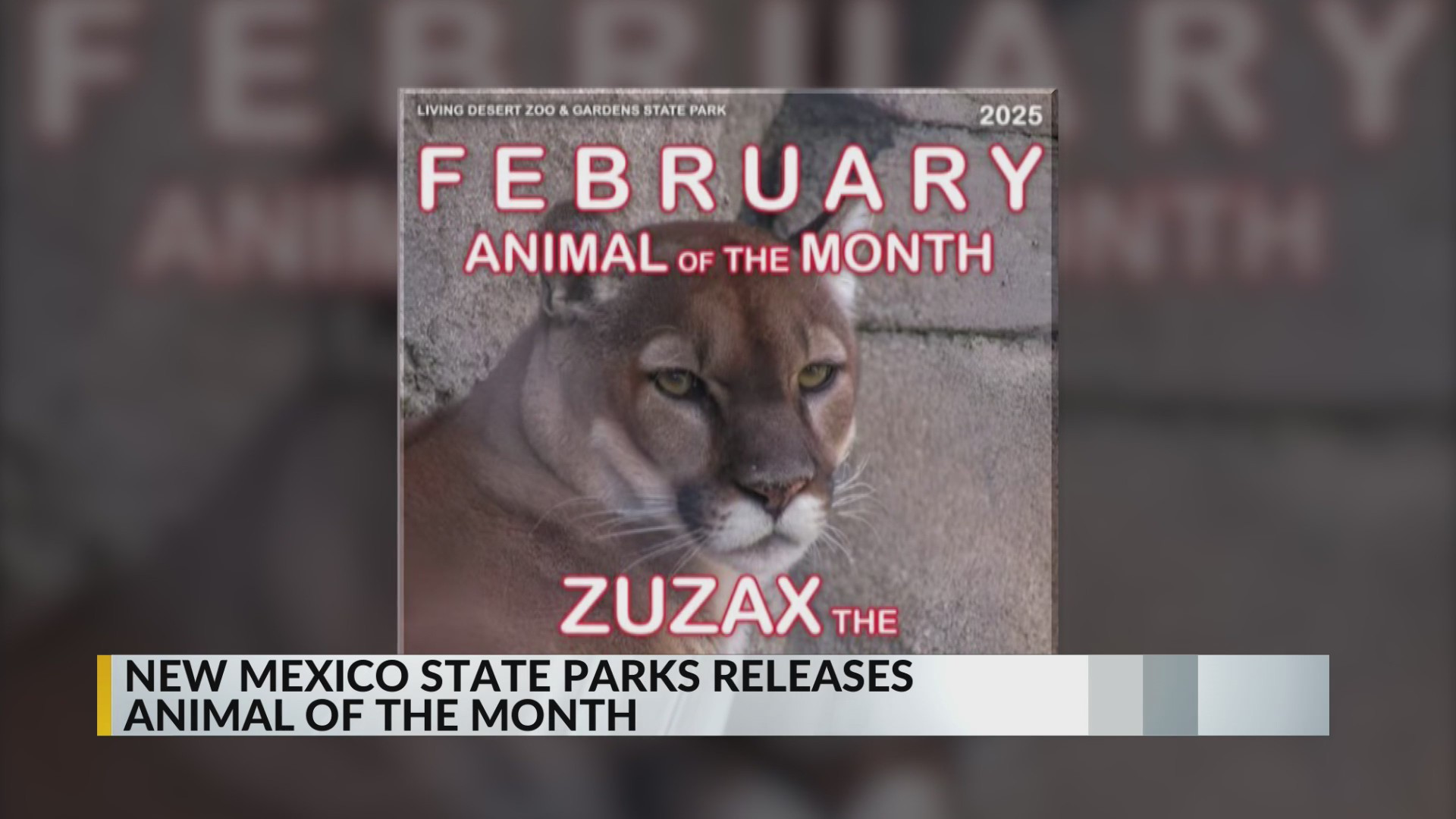 New Mexico State Parks names animals of the month – KRQE NEWS 13 ...
