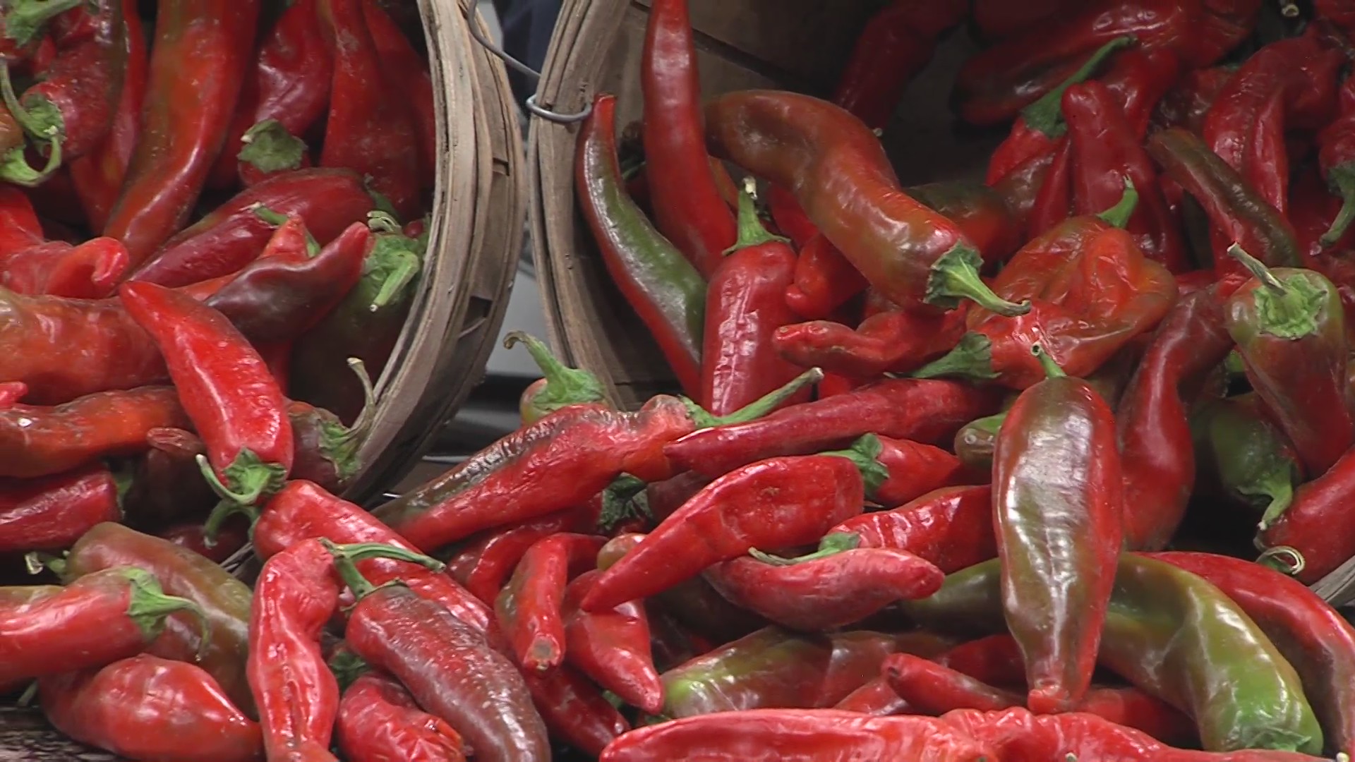 Big Jim farms teach the community how to make the iconic ristras – KRQE ...