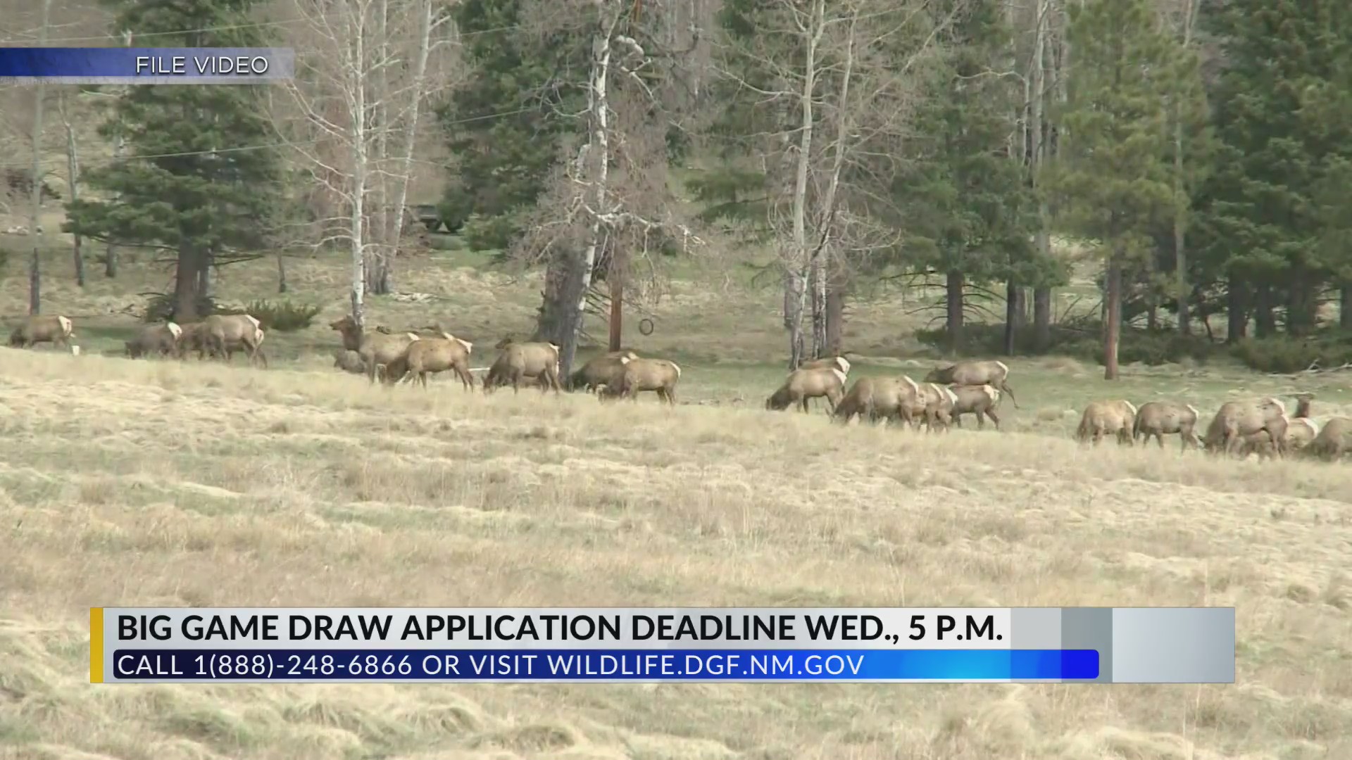 Deadline nears for big game draw application in New Mexico – KRQE NEWS ...