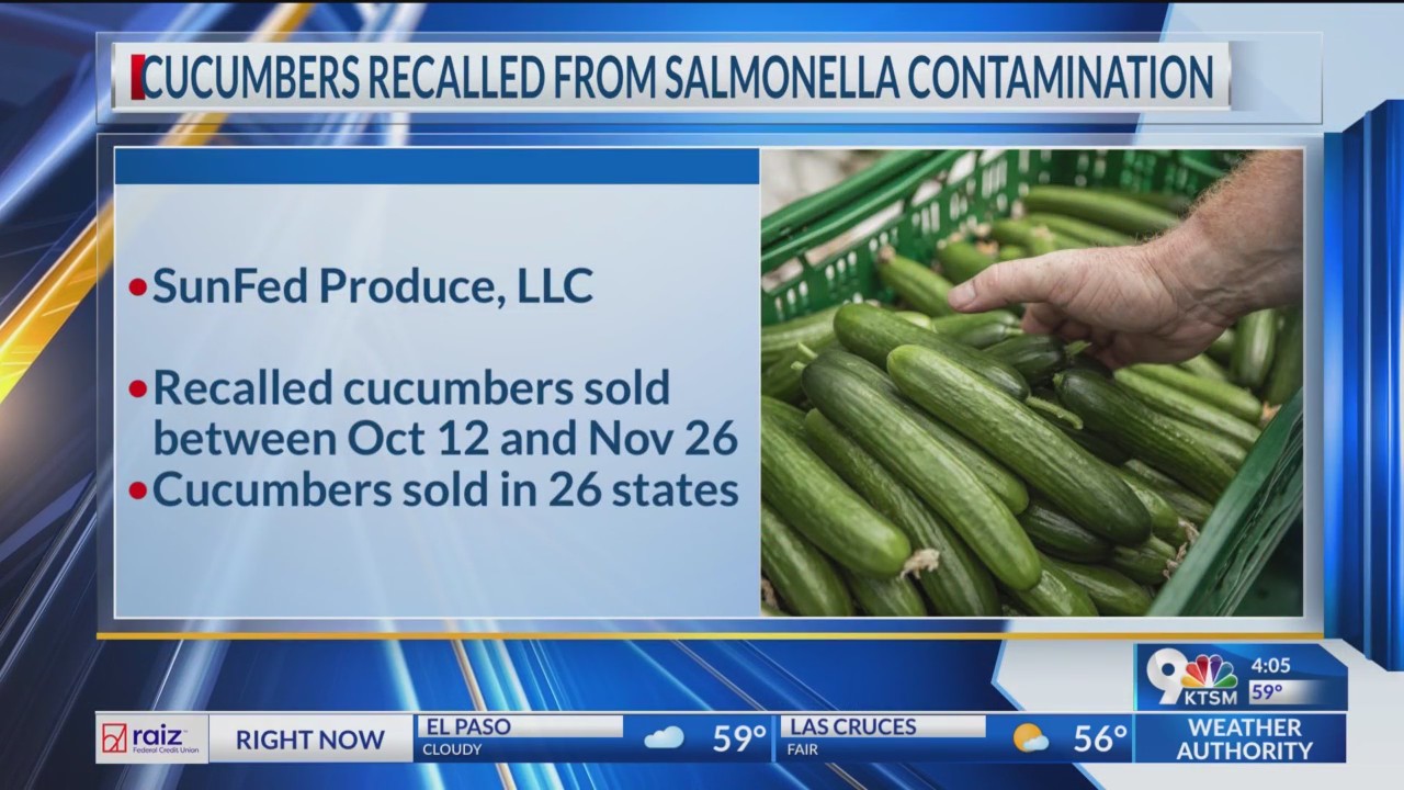 Dozens of cucumbers recalled after salmonella contamination – KTSM 9 News
