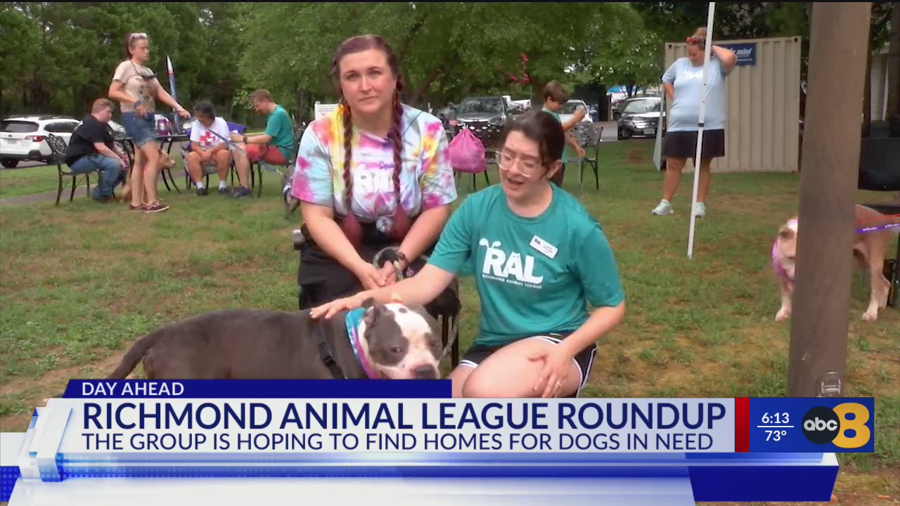 Dogs at Richmond Animal League’s rescue roundup – WRIC ABC 8News