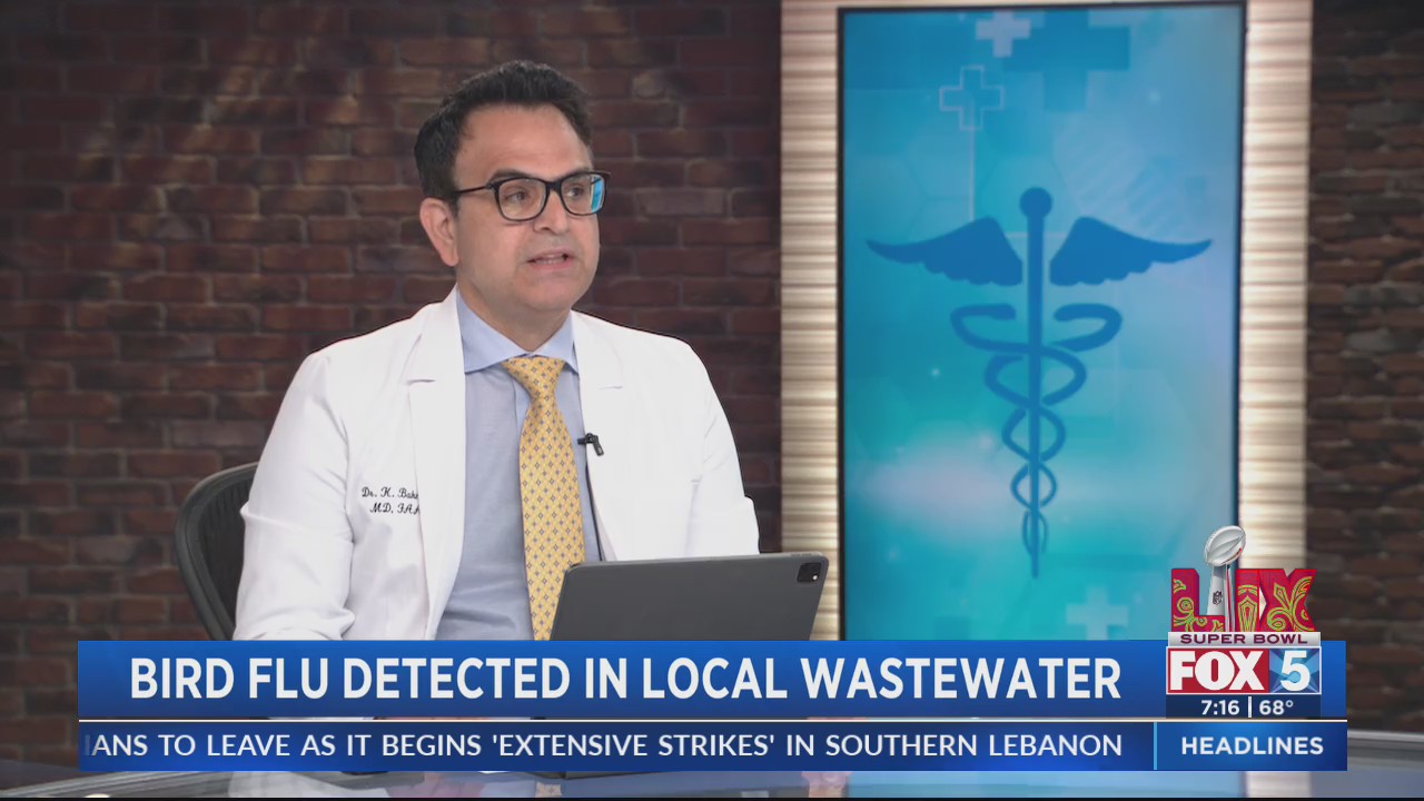 Bird Flu Detected in Wastewater – FOX 5 San Diego & KUSI News
