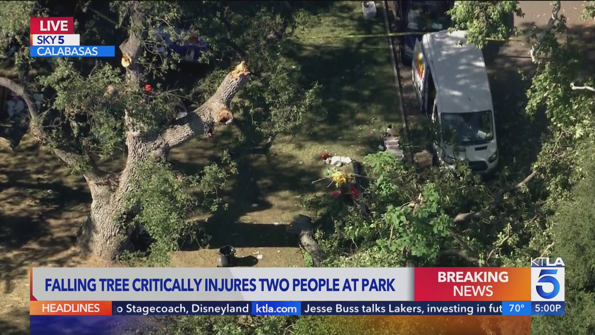 5 people hurt after tree falls down in Calabasas – KTLA