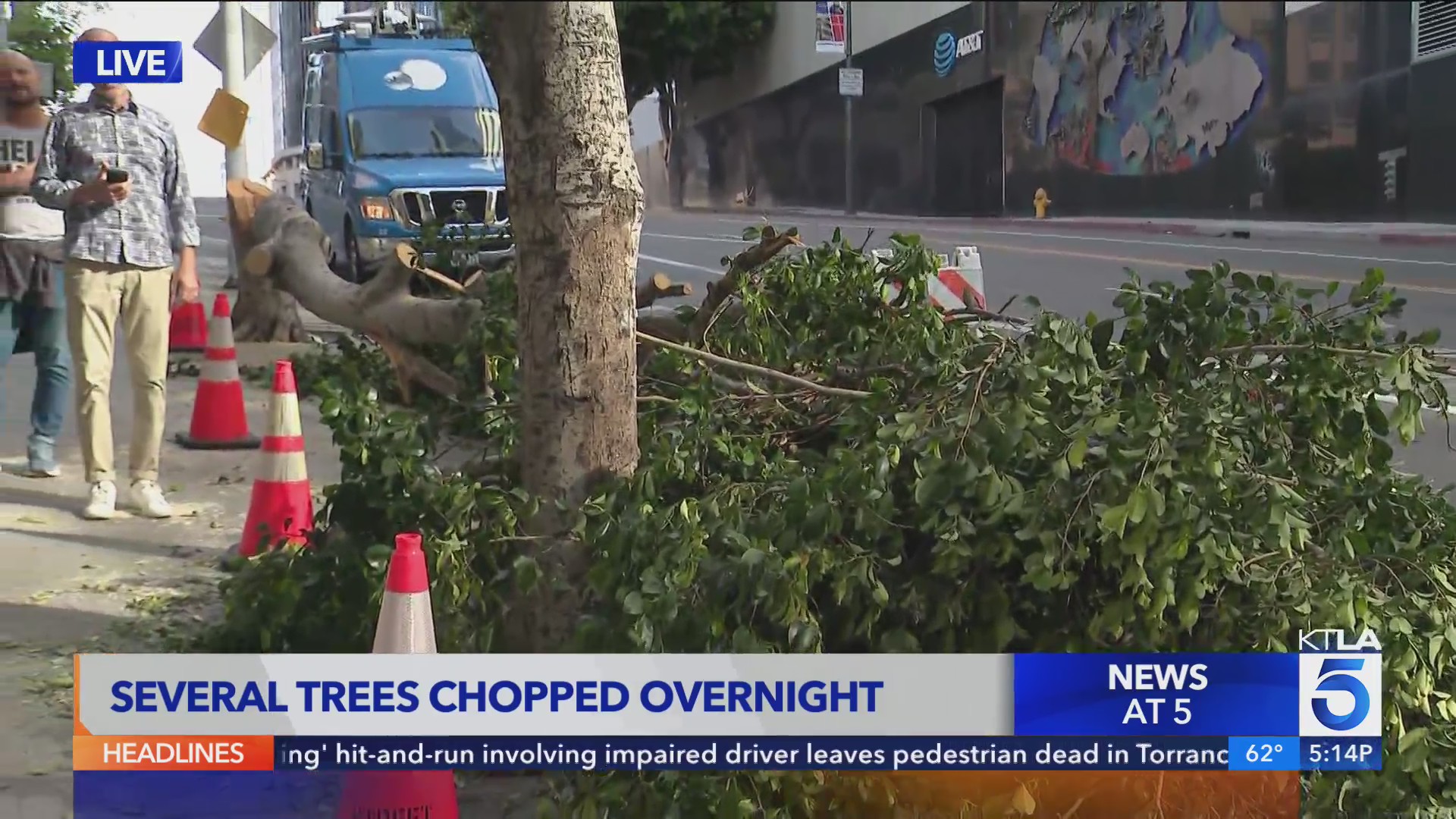 Several trees chopped down overnight in downtown L.A. – KTLA